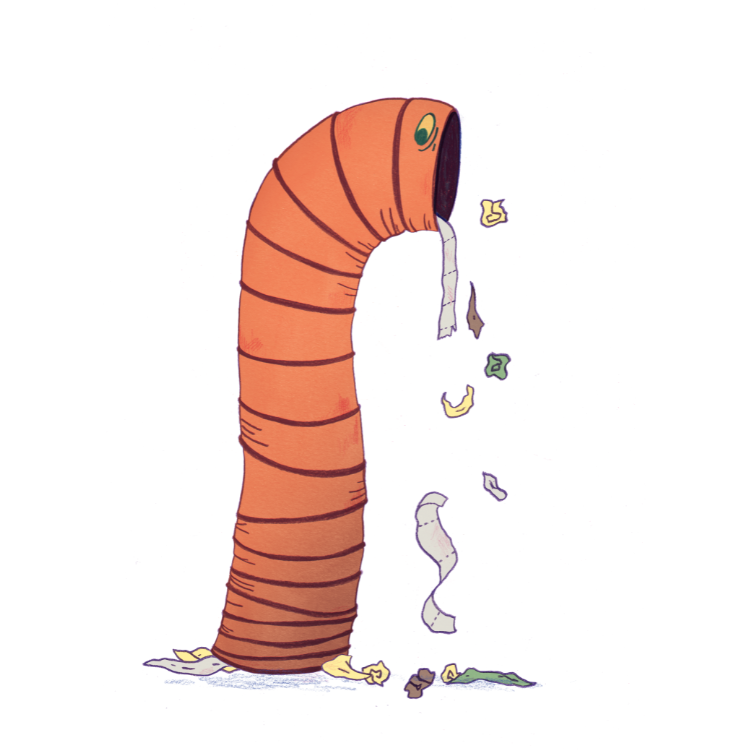 Fish Boy returns to The Courtyard - The Courtyard